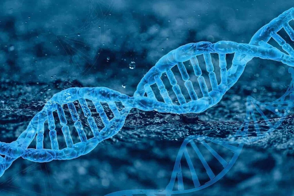 Qué Es el Síndrome de Down: Síntomas, Causas y Complicaciones