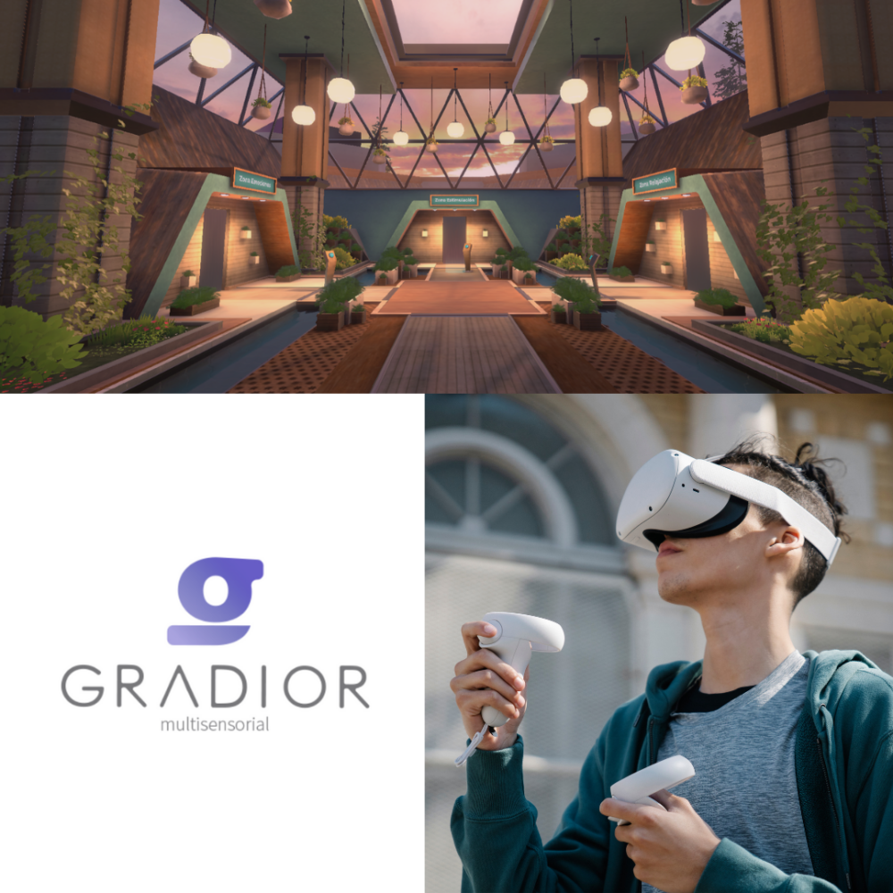 Software para Rehabilitación Virtual vs Videojuegos - Gradior